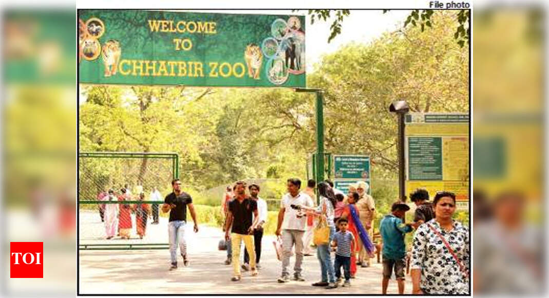 Chhatbir Zoo footfall rises by 74% in 5 years | Chandigarh News - Times ...