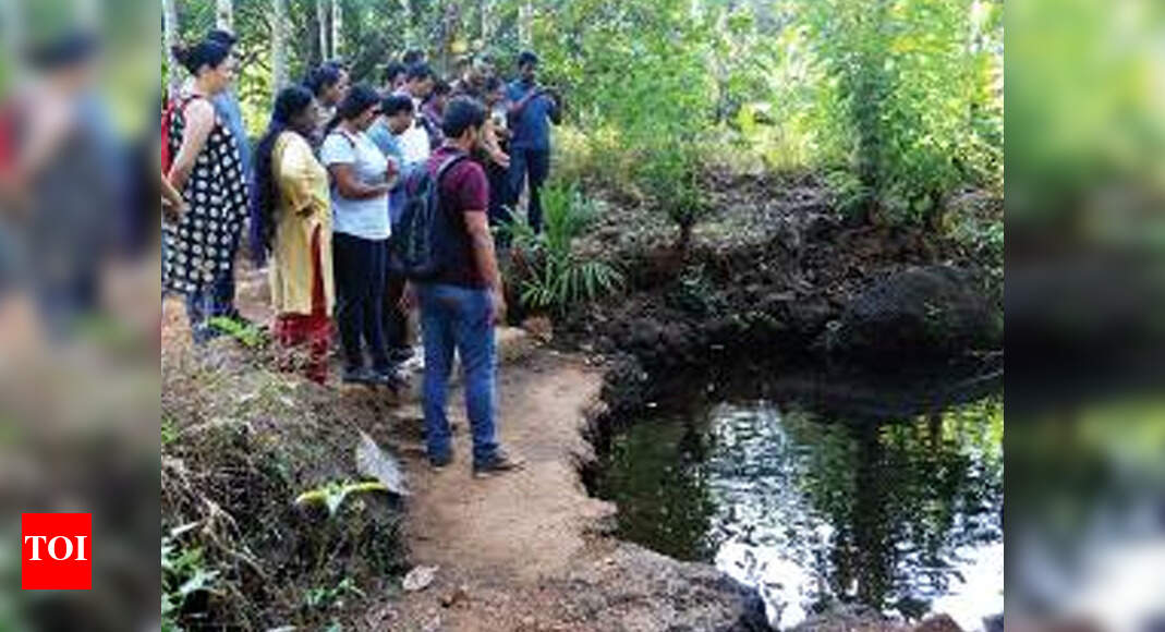 Bubbling tanks draw visitors to lesser known destinations in Goa | Goa ...