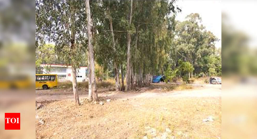 Too many parks, too few grounds for kids, say Manimajra residents ...