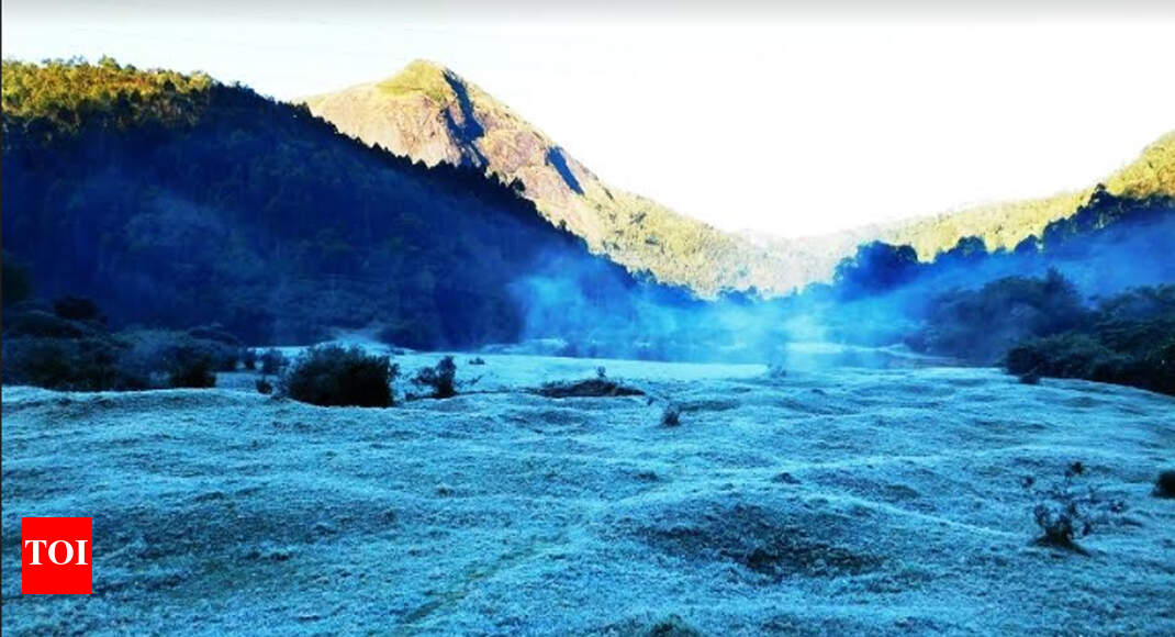 Photos: Munnar temperatures dip below zero, frost turns grasslands into ...