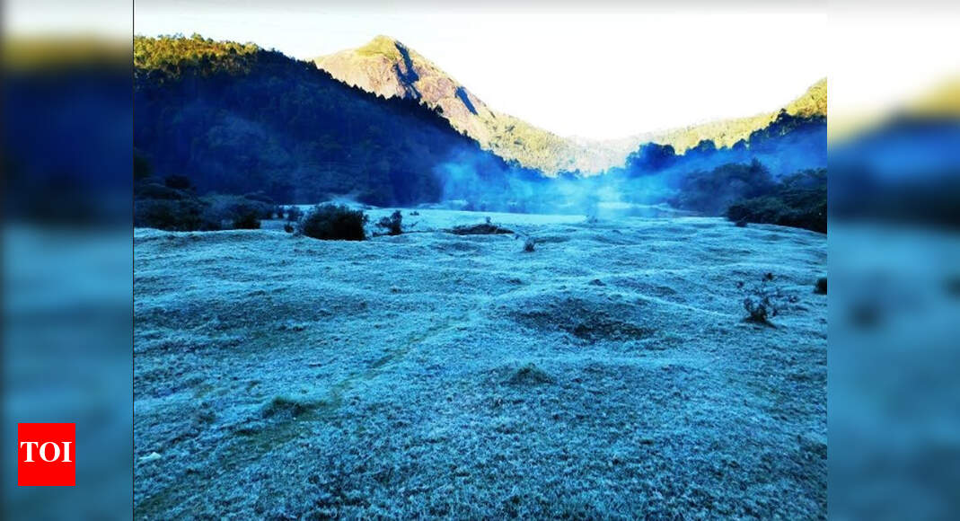 Photos: Munnar temperatures dip below zero, frost turns grasslands into ...