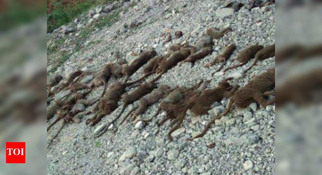 2 Isro scientists to be sued for animal deaths in gas leak | Navi ...