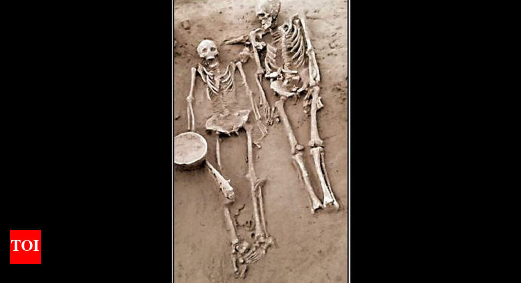 In first such finding, couple’s grave excavated at Harappan site | Pune ...