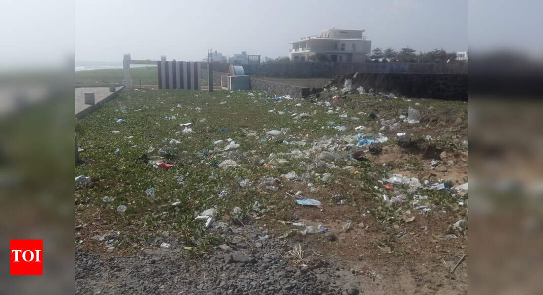 GARBAGE NEXT TO TEMPLE UNCLEARED, NO BIN NEAR BY - Times of India