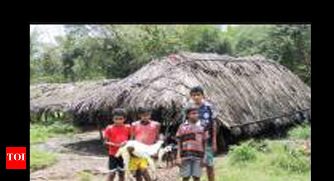 Tribal tag for Dhangars long pending | Goa News - Times of India