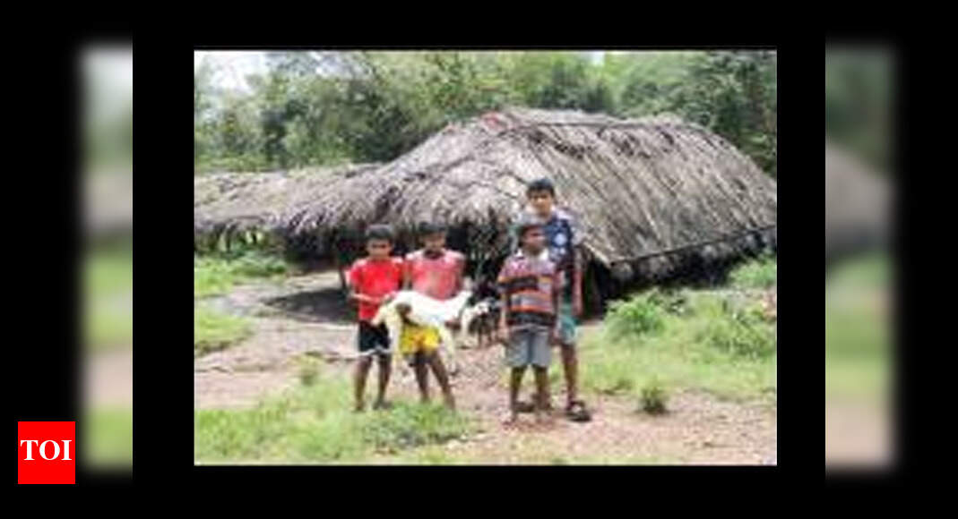 Tribal tag for Dhangars long pending | Goa News - Times of India