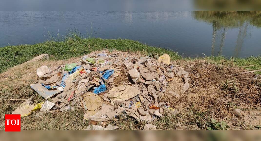 Sewage stench ruins rejuvenated lake - Times of India