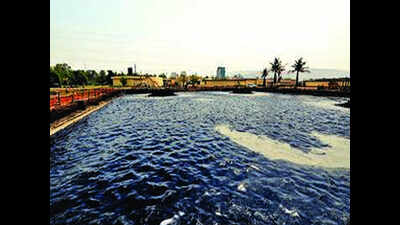 NGT slaps Rs 10 crore penalty on Vapi’s CETP operator | Surat News ...