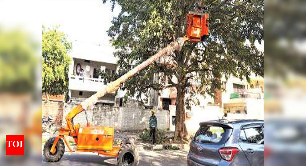 Finally, Mohali gets two tree pruning machines | Chandigarh News ...