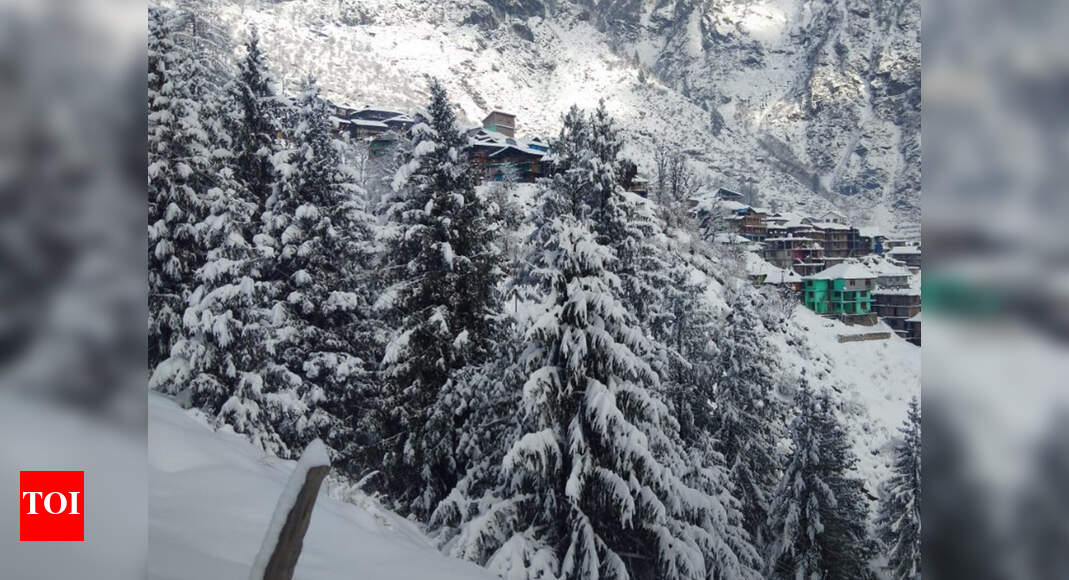 Cold wave grips Himachal Pradesh after fresh snowfall | Shimla News - Times of India