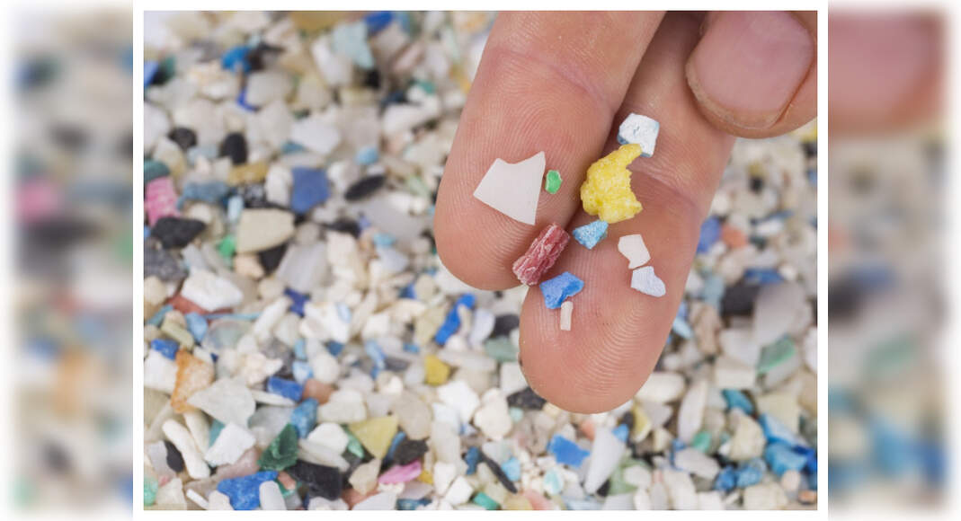 How plastic is affecting the food cycle and human body?