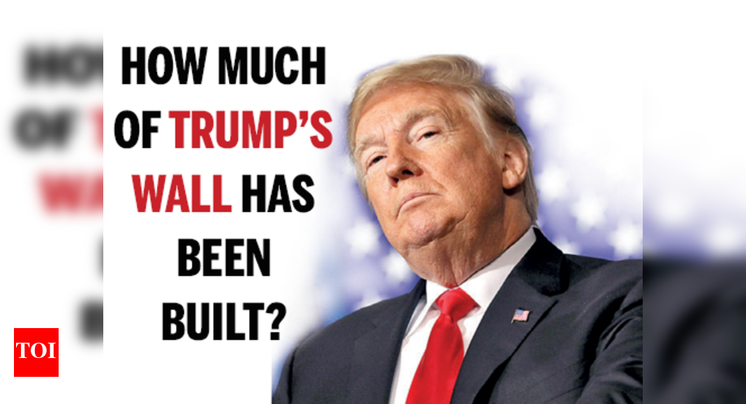 Infographic: In numbers: The Trump's border wall - Times of India