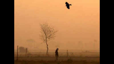 Cold wave conditions in parts of UP, Agra coldest at 2.9 deg Celsius ...