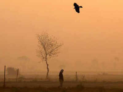 Cold wave conditions in parts of UP, Agra coldest at 2.9 deg Celsius ...