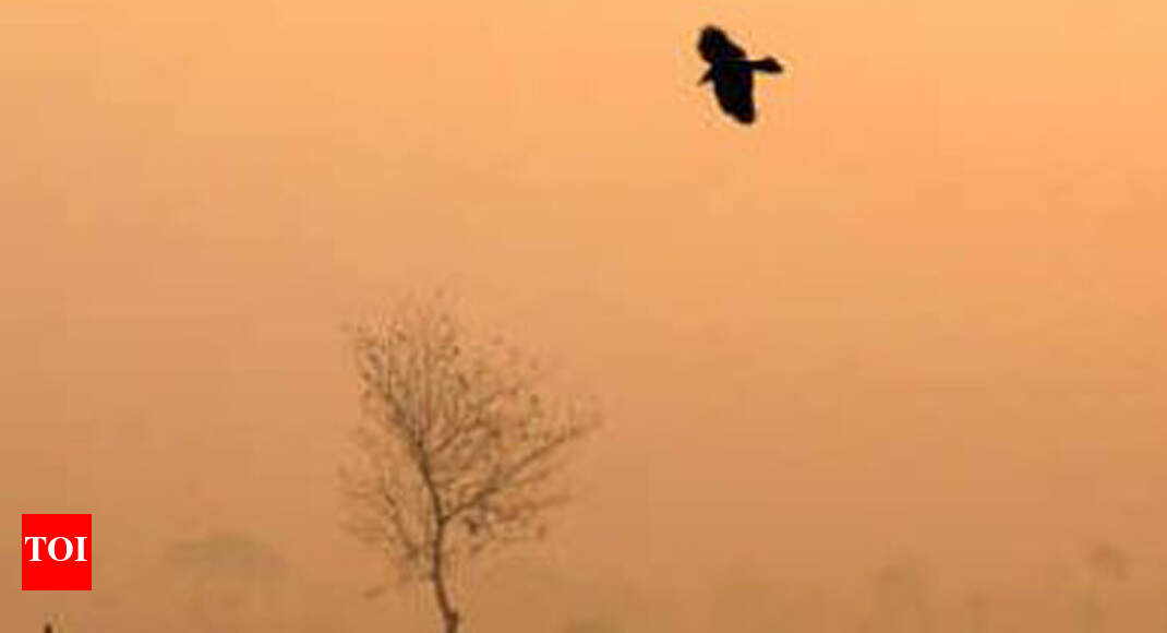 Cold wave conditions in parts of UP, Agra coldest at 2.9 deg Celsius ...