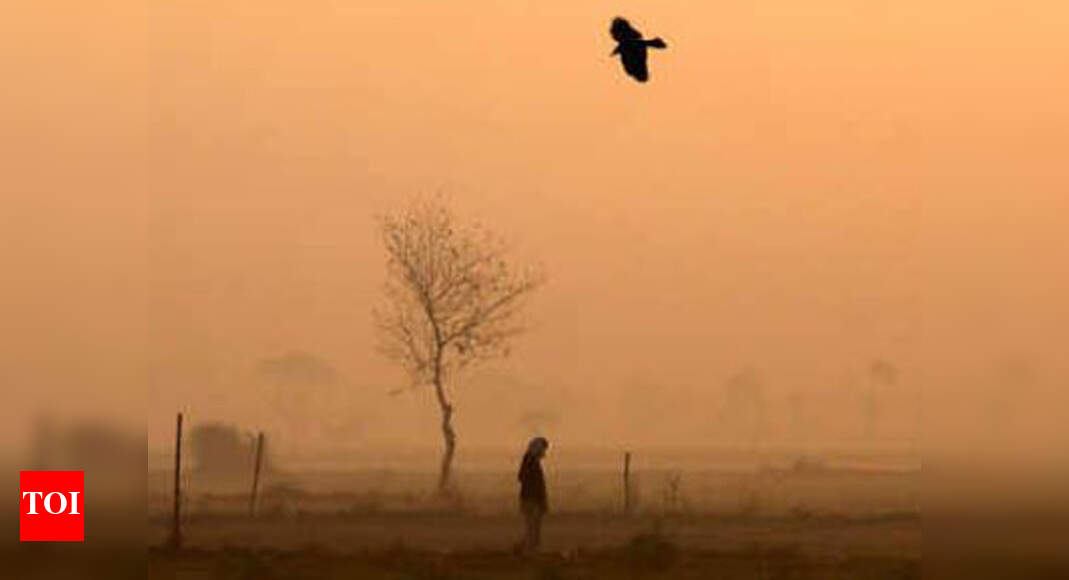 Cold wave conditions in parts of UP, Agra coldest at 2.9 deg Celsius ...