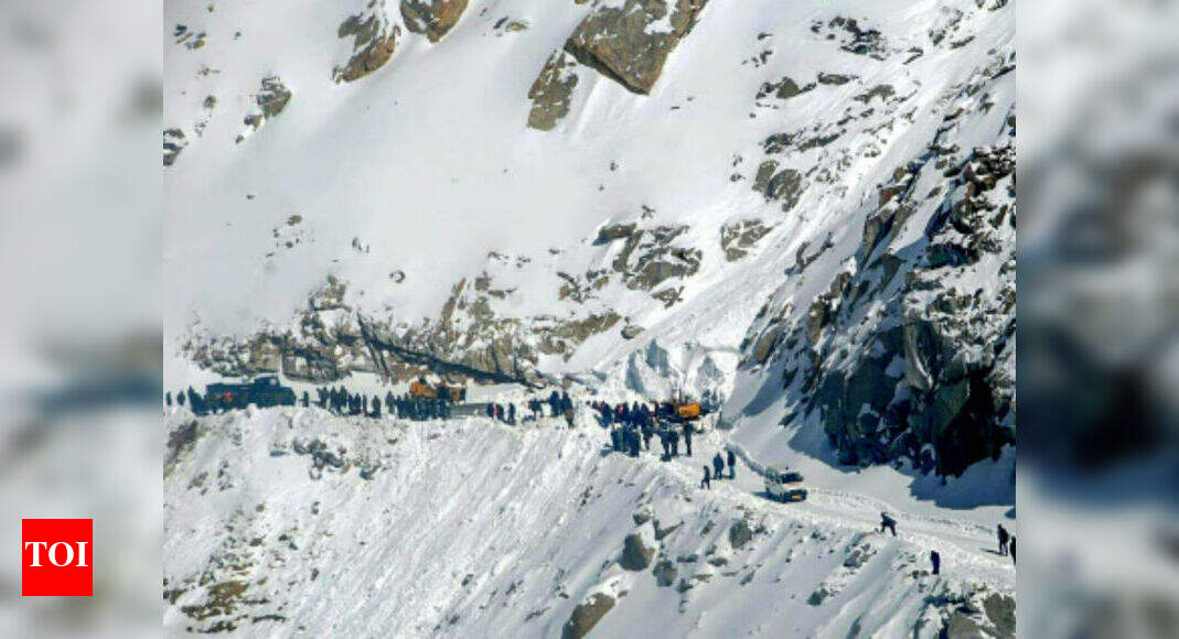 2 more bodies recovered from Leh avalanche, toll rises to 7 | India ...