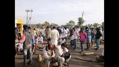 Elephants trample 80-yr-old woman to death | Mysuru News - Times of India