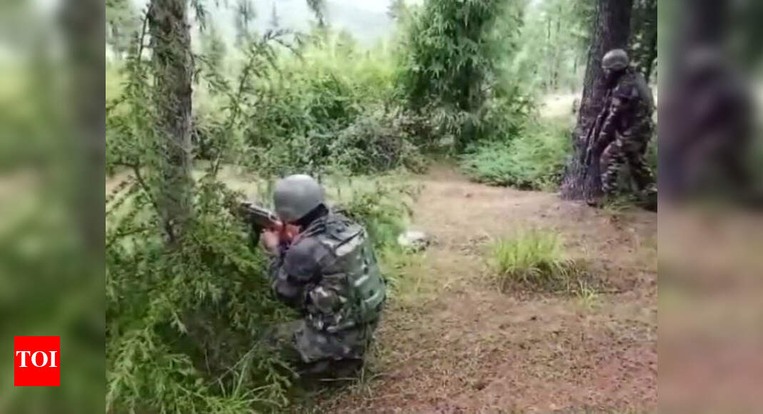 Three terrorists killed in encounter in J&K's Shopian | India News - Times of India