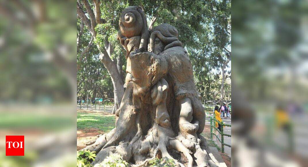 Sculpted trees stand tall in Lalbagh | Bengaluru News - Times of India