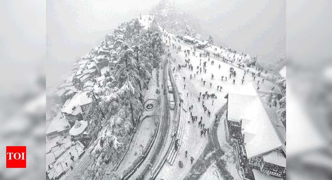 Shimla weather: Heavy snowfall, rains freeze Himachal Pradesh | Shimla News - Times of India