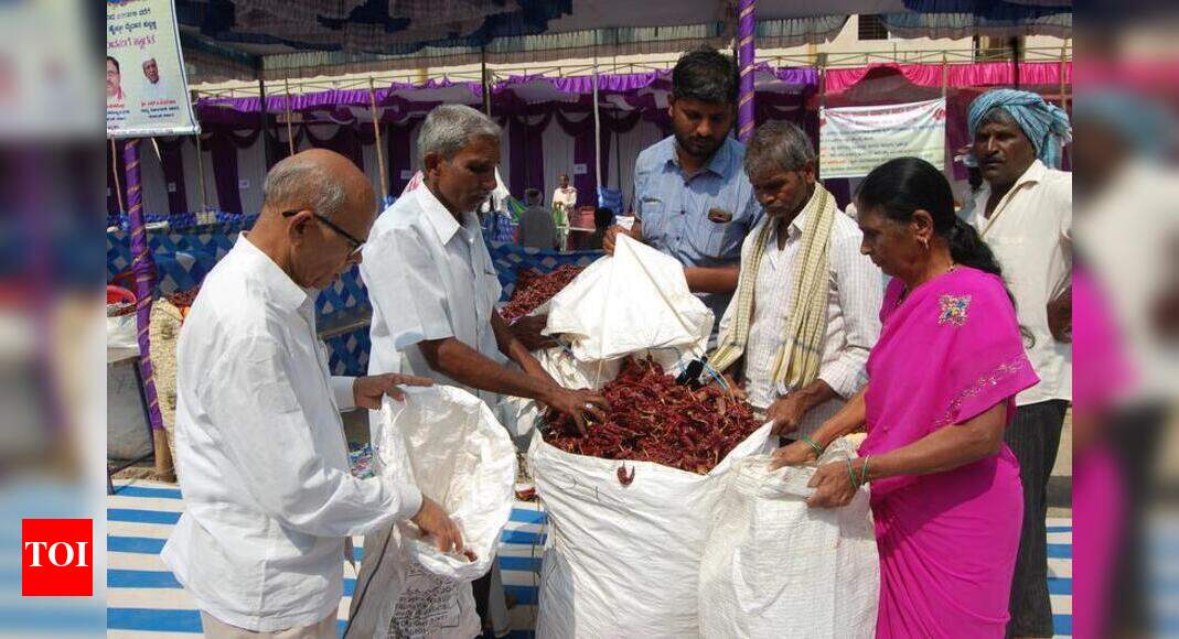 Chilli Mela off to bright start | Hubballi News - Times of India