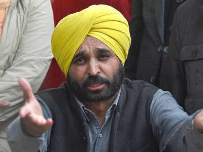 Bhagwant Mann set to make comeback as AAP Punjab chief | Chandigarh News - Times of India