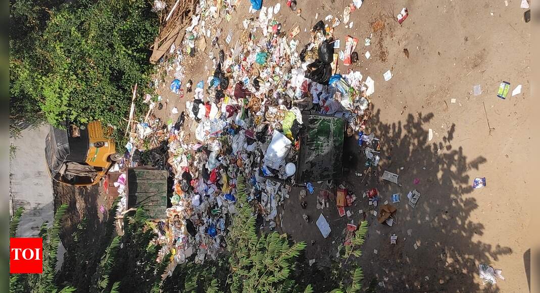 Garbage festival @ Bharathi avenue - Times of India