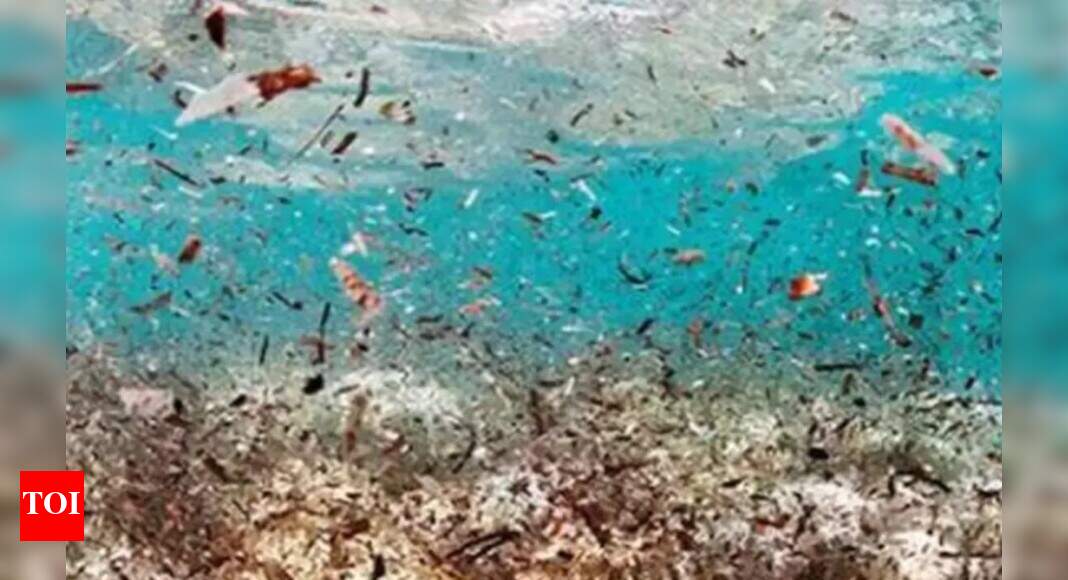 Microplastic contamination found in groundwater - Times of India