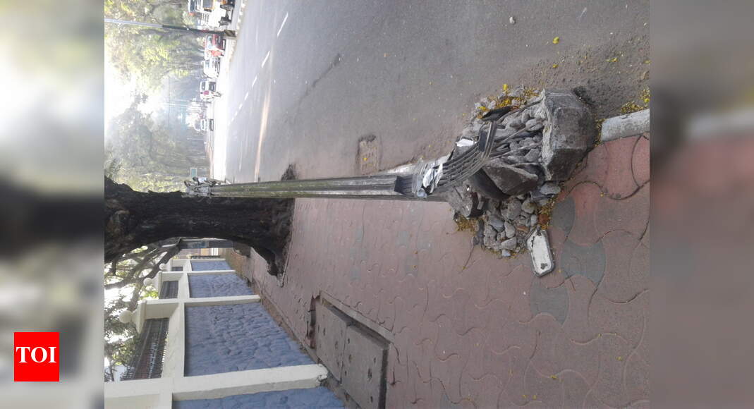 Collapsed lamb post creates threats for public - Times of India