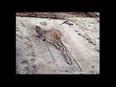 Human skeleton, potteries found during excavation at Baghpat’s Sinauli ...