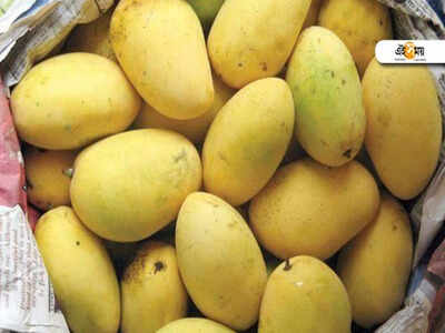 GI war between Bangladesh and India over Khirsapati mangoes | Kolkata ...