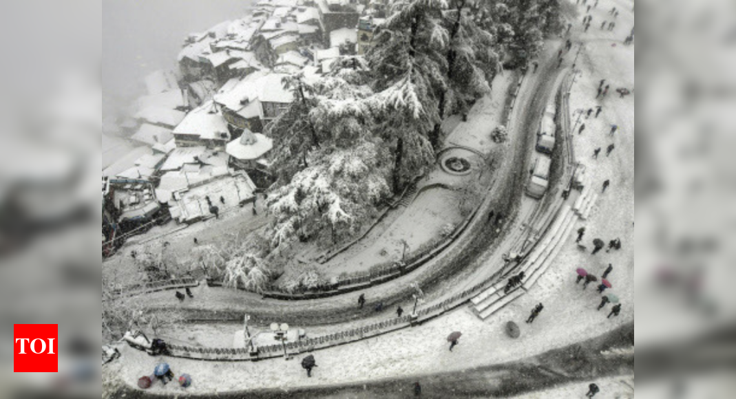 Cold wave in North India: Arctic cold blast impacting north India’s ...