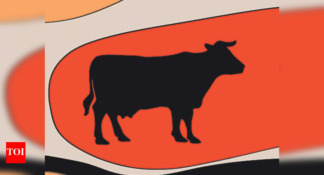 UP cops to ensure cow safety; autopsy if death is suspect | Lucknow ...