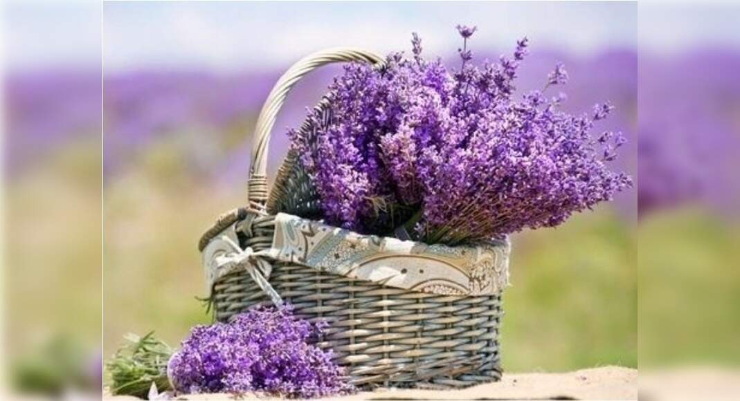 DIY Homemade flower face mask for glowing skin