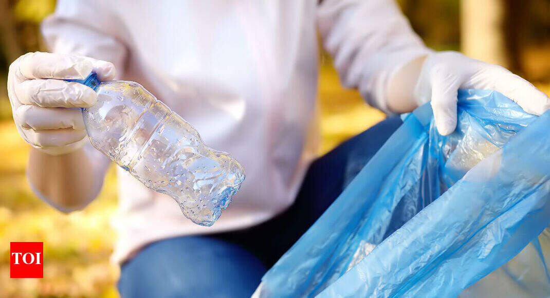 say no to plastics: How to collect garbage without plastic bin liners ...