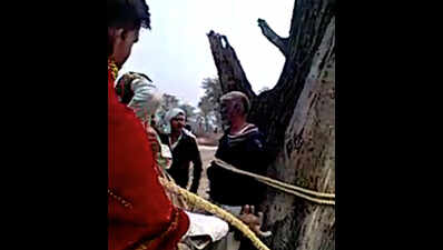 Man tied to tree, thrashed in Alwar | Jaipur News - Times of India