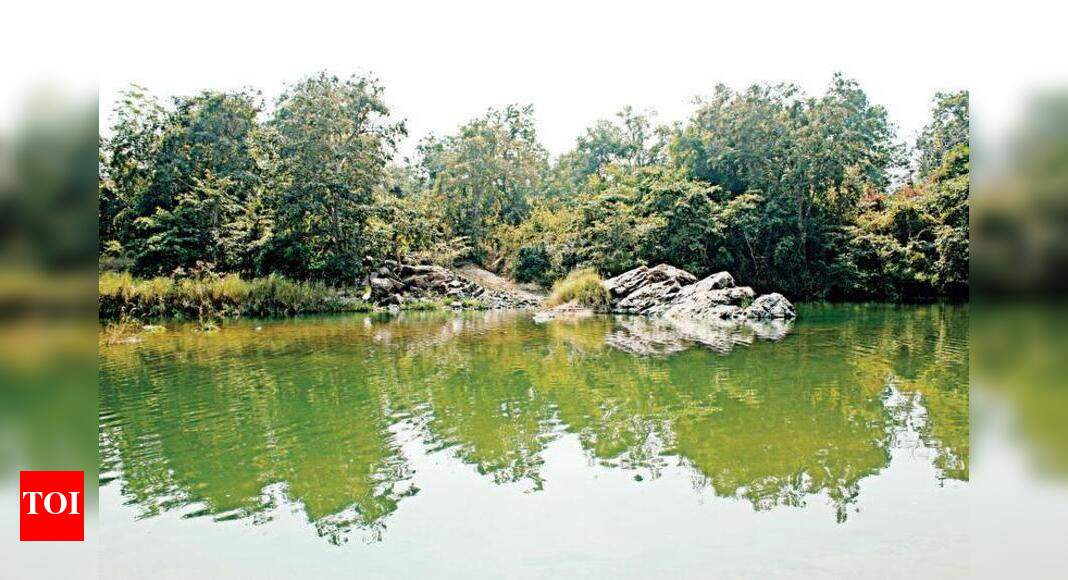 THE STORY OF HUMAN DAM: 37 YRS, Rs211CR SPENT, OVER 8,807% COST ...