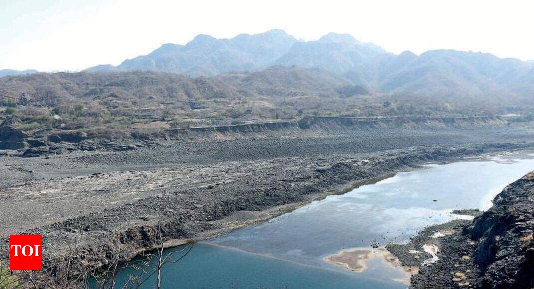 ‘Decaying matter polluted Narmada’ | Ahmedabad News - Times of India