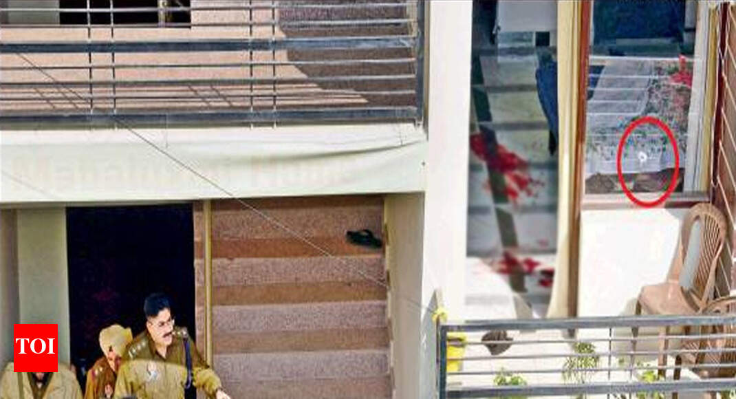 Woman aide’s tip-off helped cops gun down Ankit Bhadu | Chandigarh News ...
