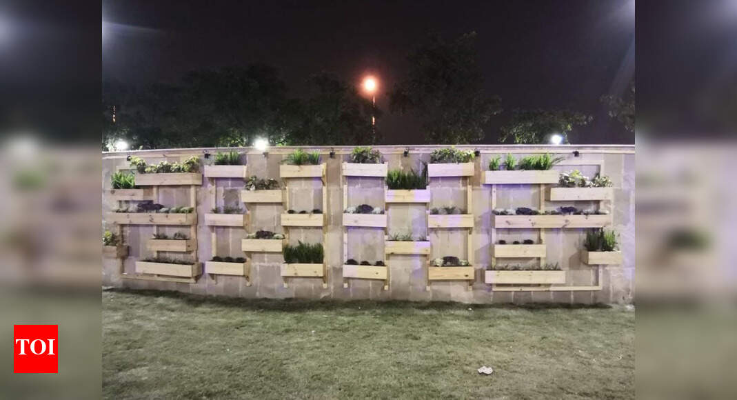 Recycled Wood Beautifies Noida: Noida beautified with recycled wood ...