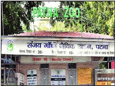 Two new facilities at Patna zoo this month | Patna News - Times of India