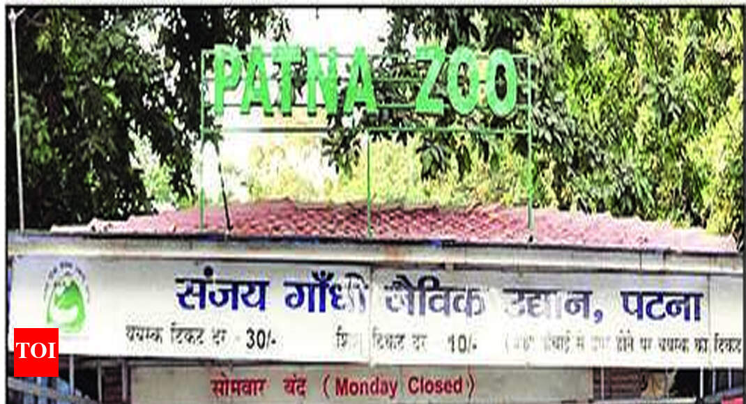 Two new facilities at Patna zoo this month | Patna News - Times of India