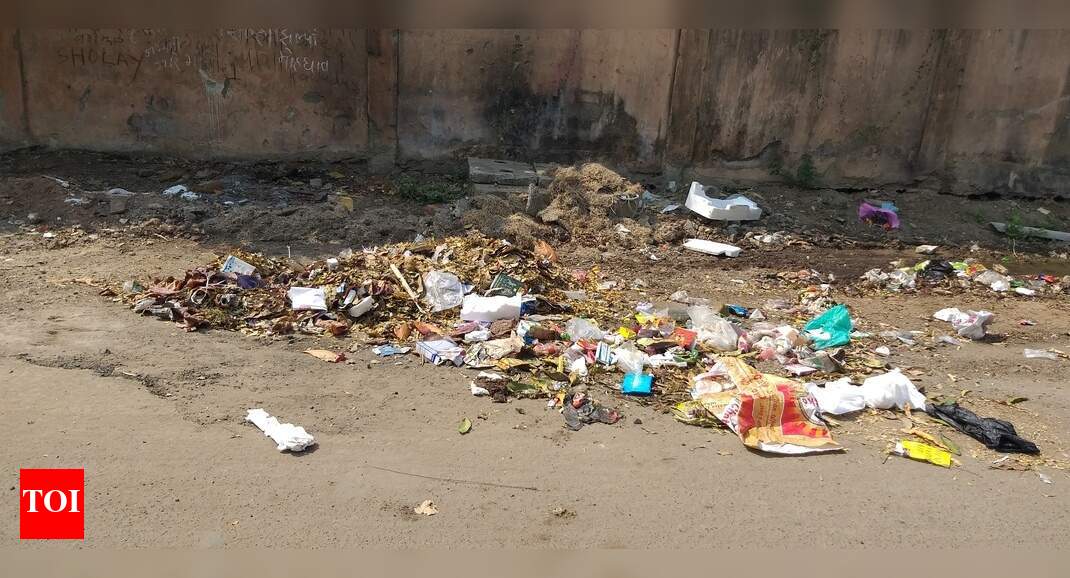 No Dustbin - Times of India