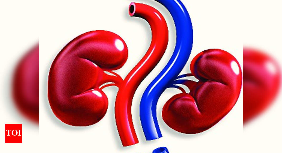 Delhi hospitals under lens in interstate kidney racket | Delhi News ...