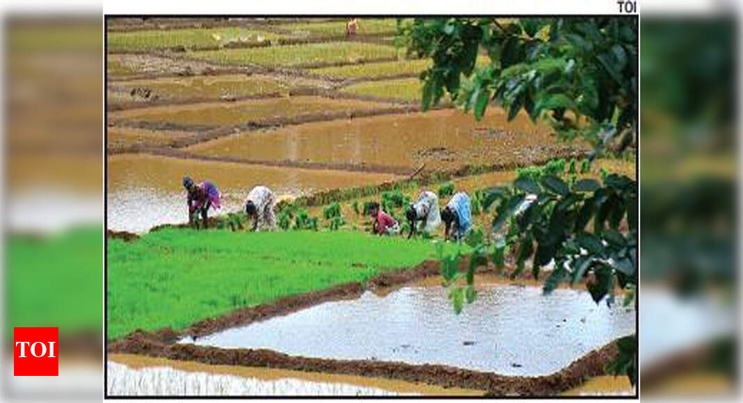 Vijai issues guidelines for change of zone under Sector 16B of TCP Act ...