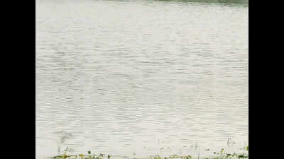 'Follow Lake Michigan model to revive water bodies in Hyderabad ...