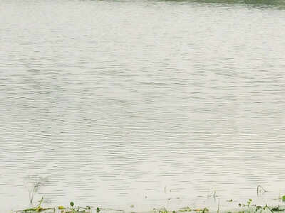 'Follow Lake Michigan model to revive water bodies in Hyderabad ...