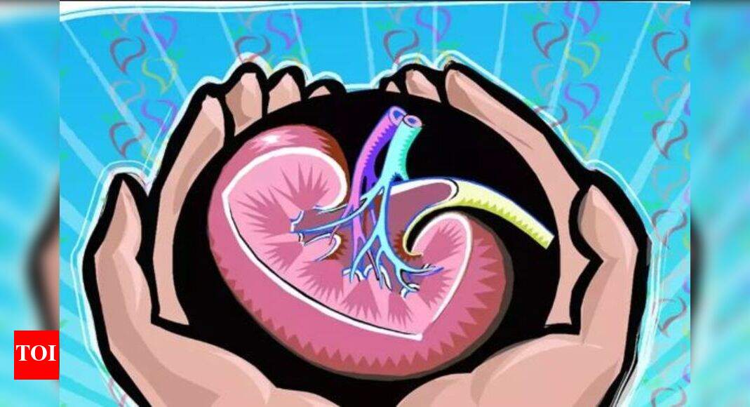 Delhi doctor is overseas boss of kidney mafia | Lucknow News - Times of ...