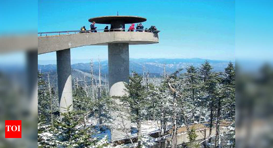 A trip to a place where nature is respected, safe | Pune News - Times ...